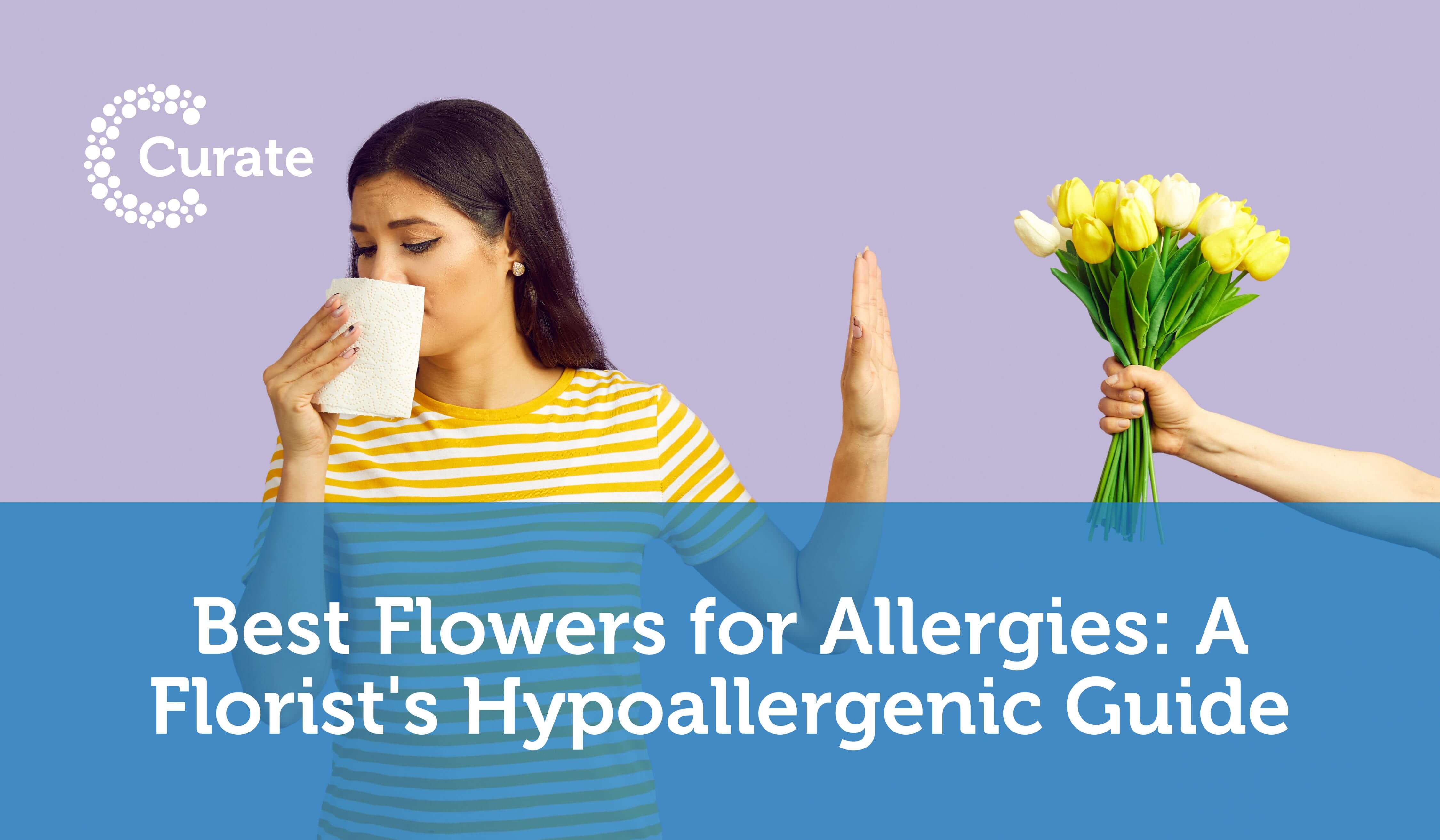 Best Flowers for Allergies: A Florist's Hypoallergenic Guide